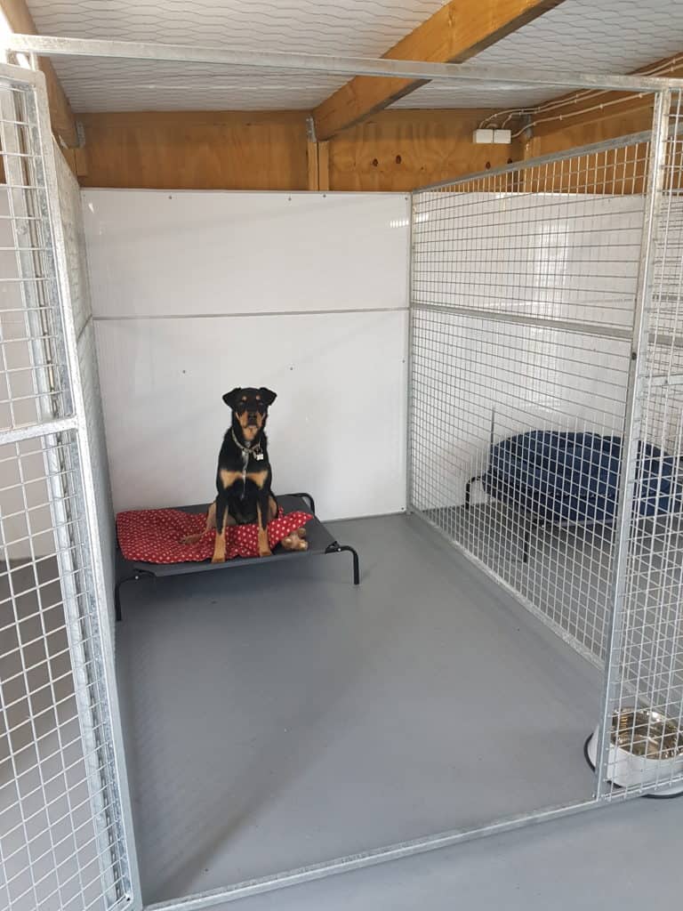 Home - Cheltenham Country Kennels , Fielding Manawatu